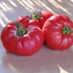 Legume proaspete. Cumpărături online, Livrare la domiciliu.